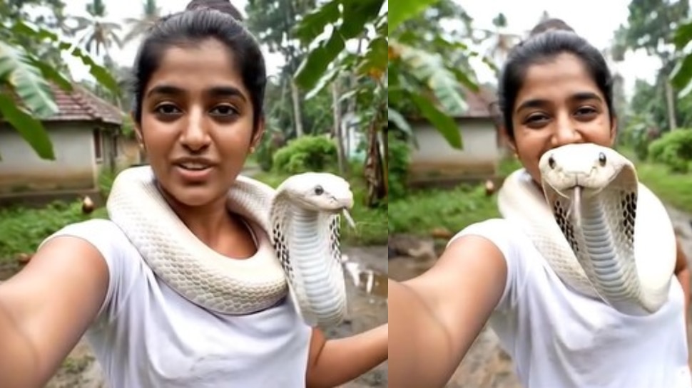 cute Teen Girl Reels with dangerous white cobra snake video goes viral ...