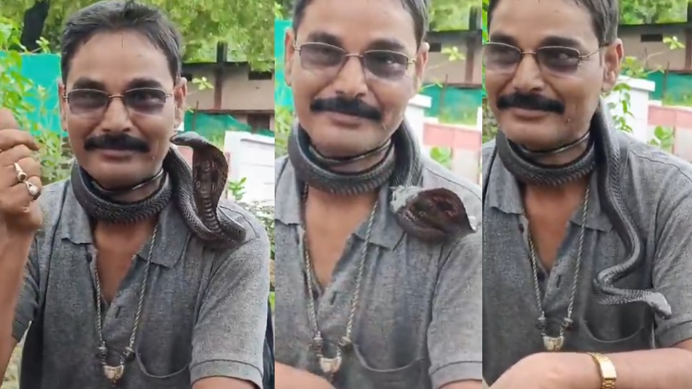 World Snakes Day Madhya Pradesh man rides bike with venomous cobra ...