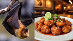 Chilli chicken scandal News in Telugu, Latest Chilli chicken scandal ...
