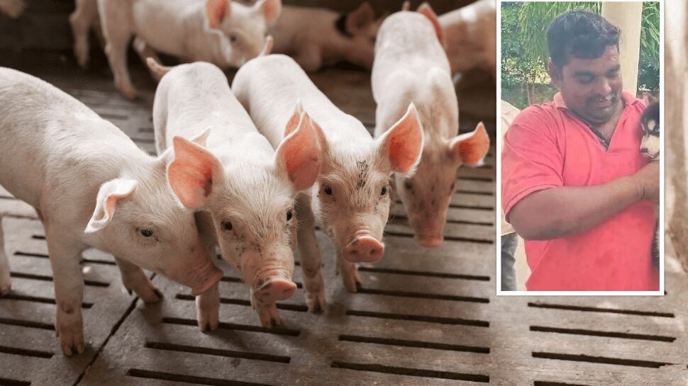 Shocking Incident One Life End In Gang War For Pig Farming | Gang War ...