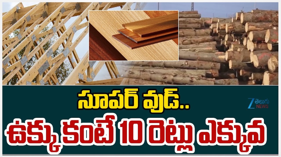 Super wood now 10 times better than iron full details Scientists at ...