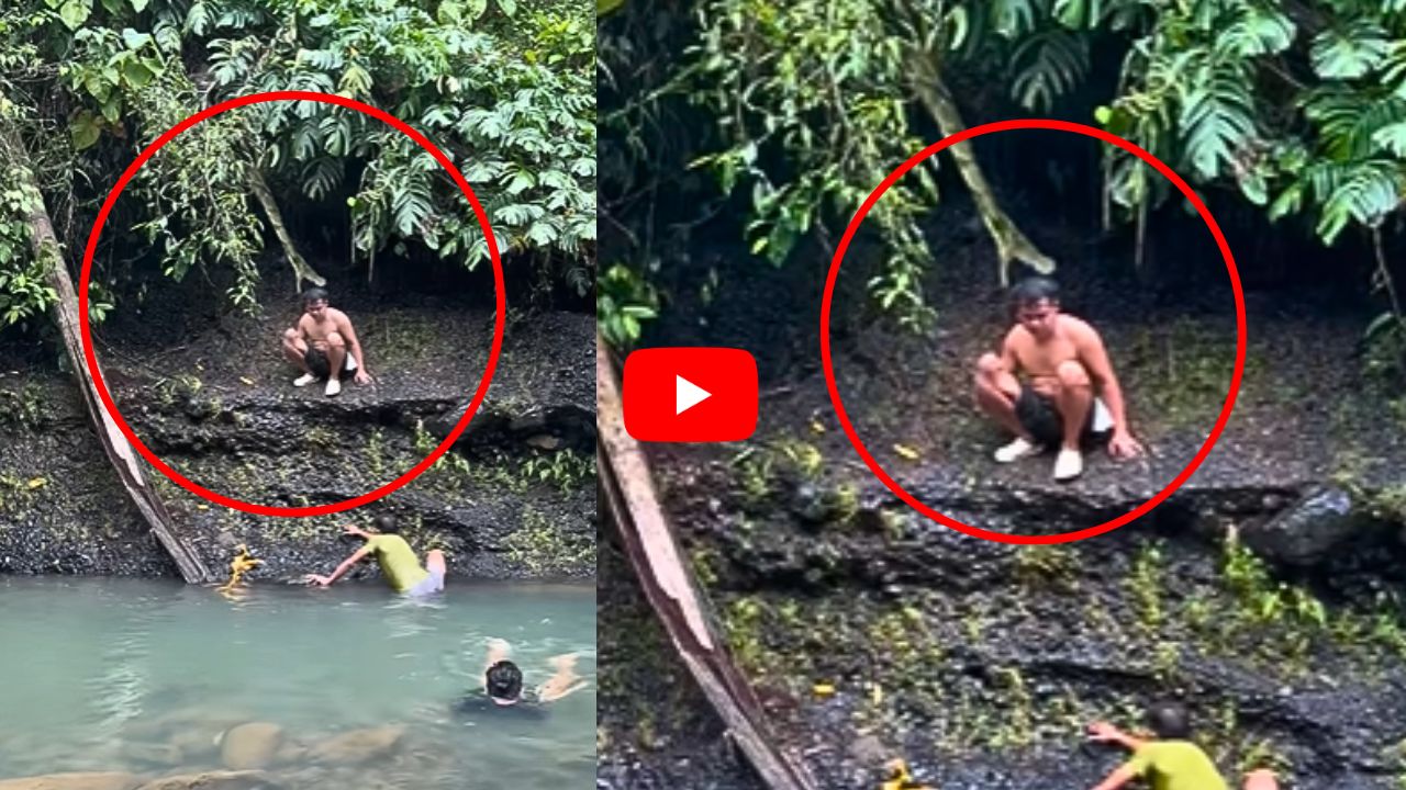 Giant Huge Python Trying To Attack Young Man Video | వామ్మో.. సెకండ్ ...