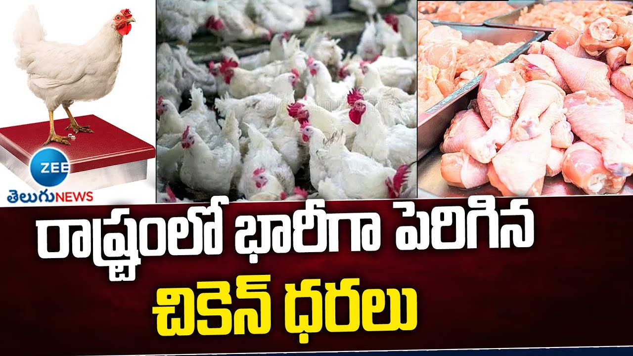 Chicken Price Increase 2026: Chicken Price Increases to Rs 300 per KG ...