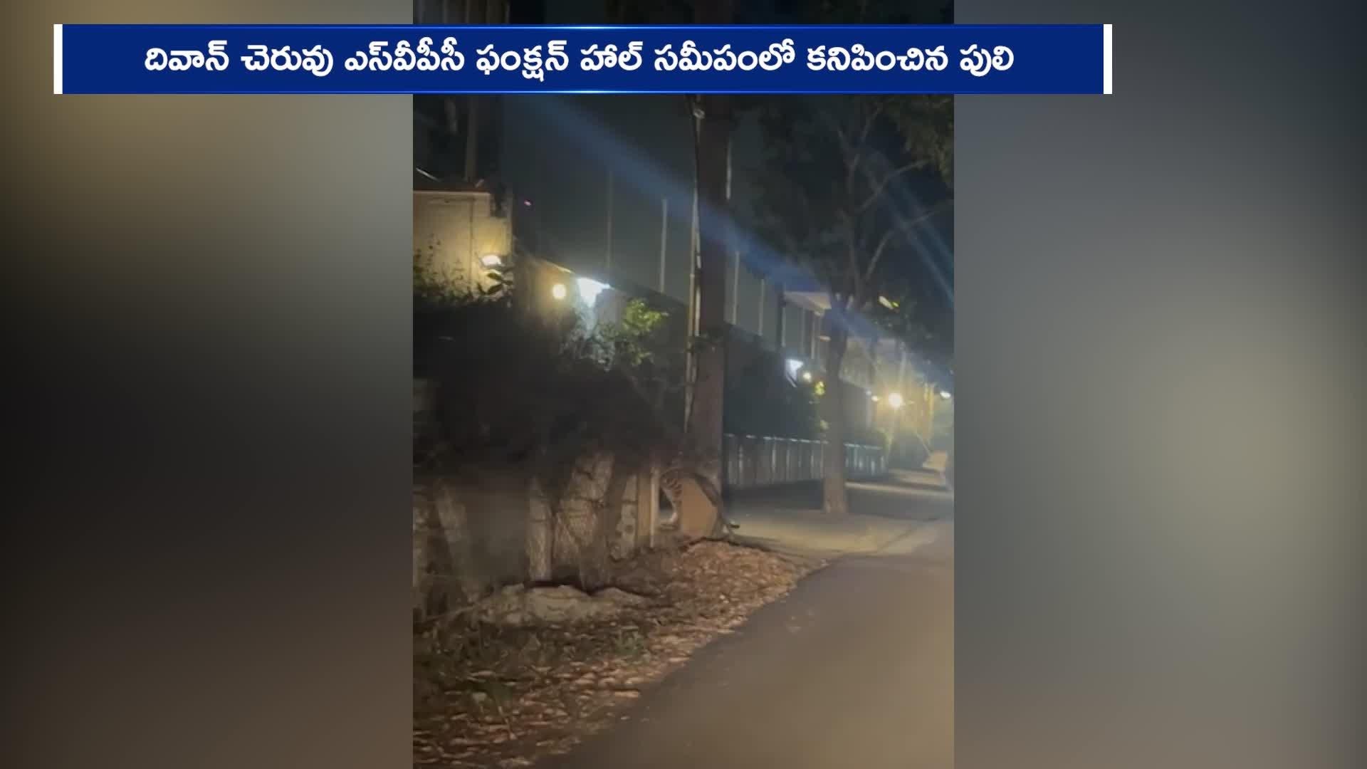 Leopard Spotted on Road in Rajahmundry Triggers Panic Pedda Puli Viral ...