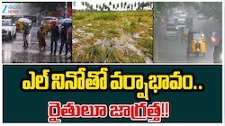 o que e el nino News in Telugu, Latest o que e el nino news, photos ...
