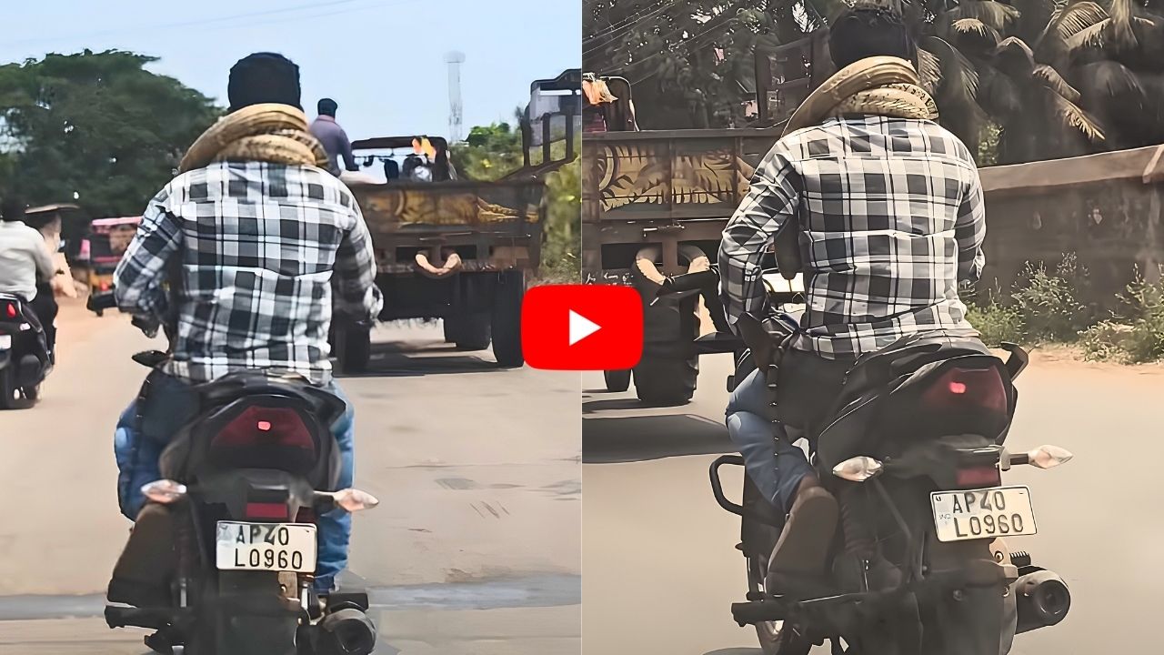 Youth Rides Bike With Python Around His Neck Video Goes To Viral ...