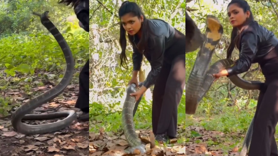 Snake Video King cobra attack on Teen girl video goes viral pa |King ...