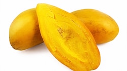 Lucuma Fruit News in Telugu, Latest Lucuma Fruit news, photos, videos ...