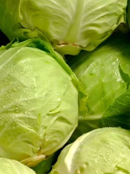 8 Incredible Health Benefits of Cabbage | క్యాబేజీని తక్కువ అంచనా ...