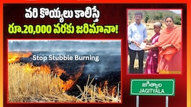 agori viral news News in Telugu, Latest agori viral news news, photos ...