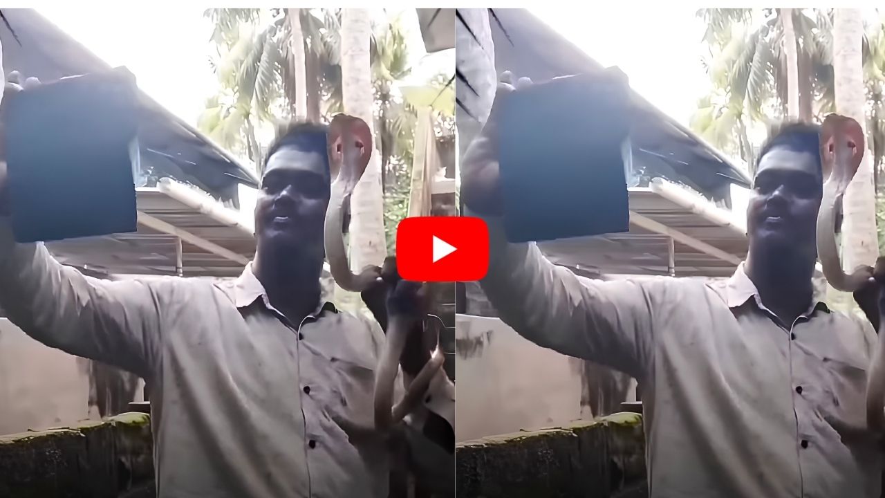 Snake Catcher Vava Sureshs Cobra Selfie Video Goes Viral Again | చావుతో ...