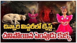 tuni missing girl case News in Telugu, Latest tuni missing girl case ...