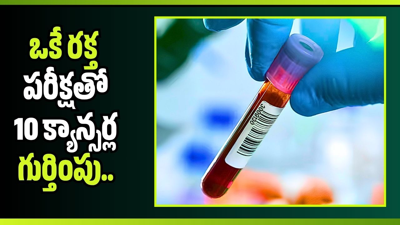 Shield Mcd Cancer Blood Test In India Price And Availability Benefits ...