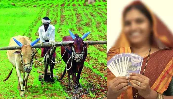 AP Rabi Paddy Procurement 2026: Farmers to Get Payment in 8 Hours As ...