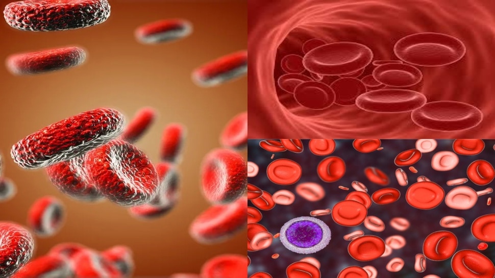 Healthy life style here are Anemia symptoms and how to test Anemia vn ...