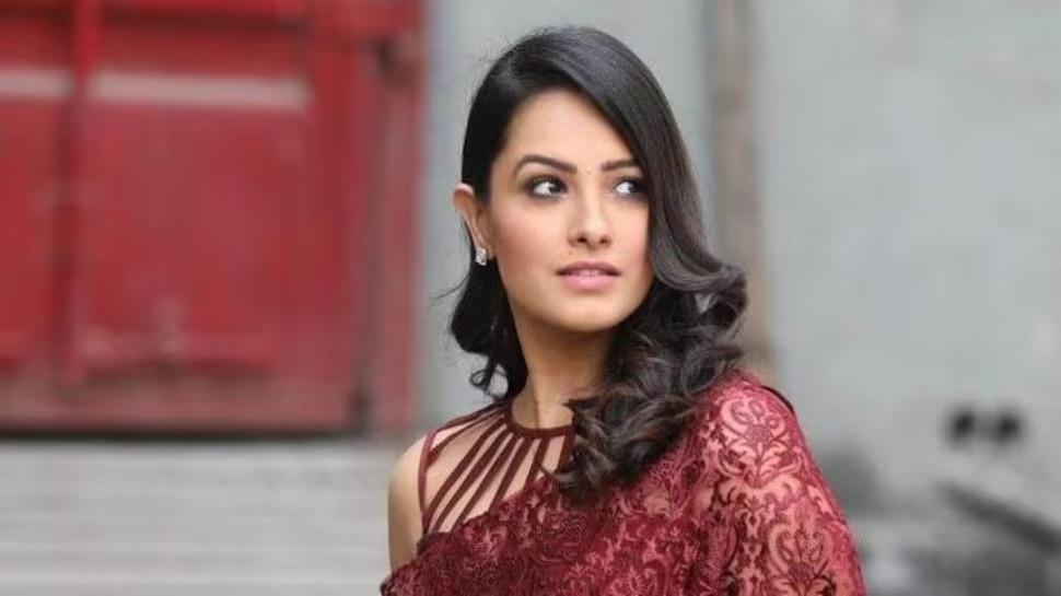 Tollywood top heroine anitha hassanandani reddy real life struggle ...