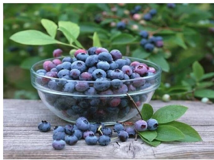 Skin care and anti ageing tips to look young and evergreen add these ...