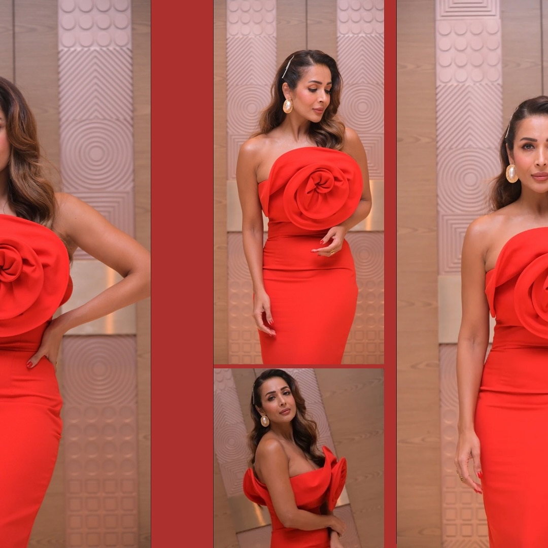 Malaika Arora Dating Rumours With Harsha Mehta Go Viral Age Gap Shocks ...
