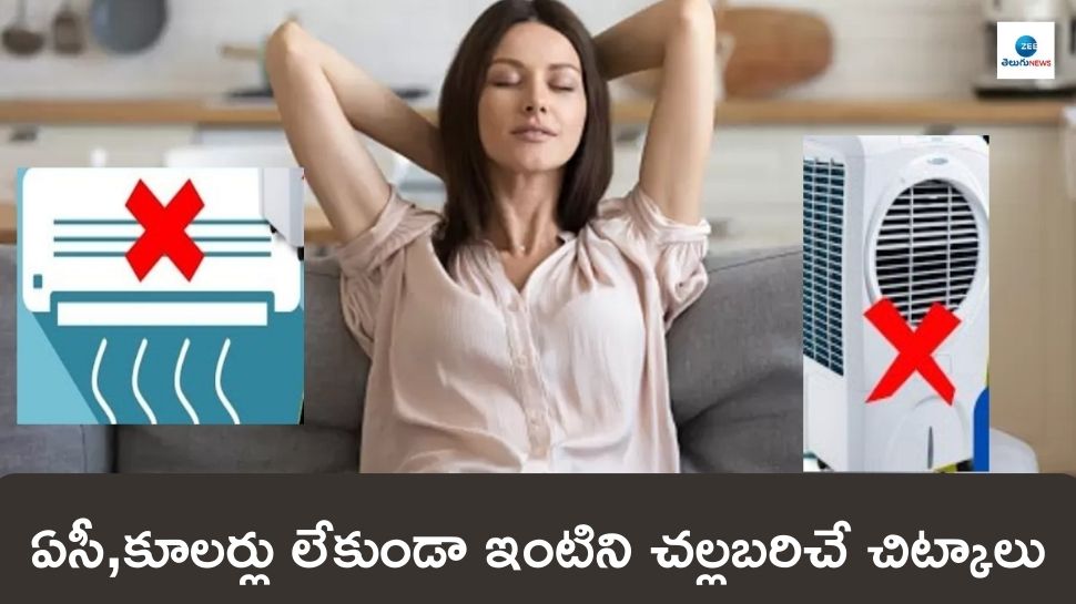 summer Home Cooling Tips with indoor plants blackout curtains exhaust ...