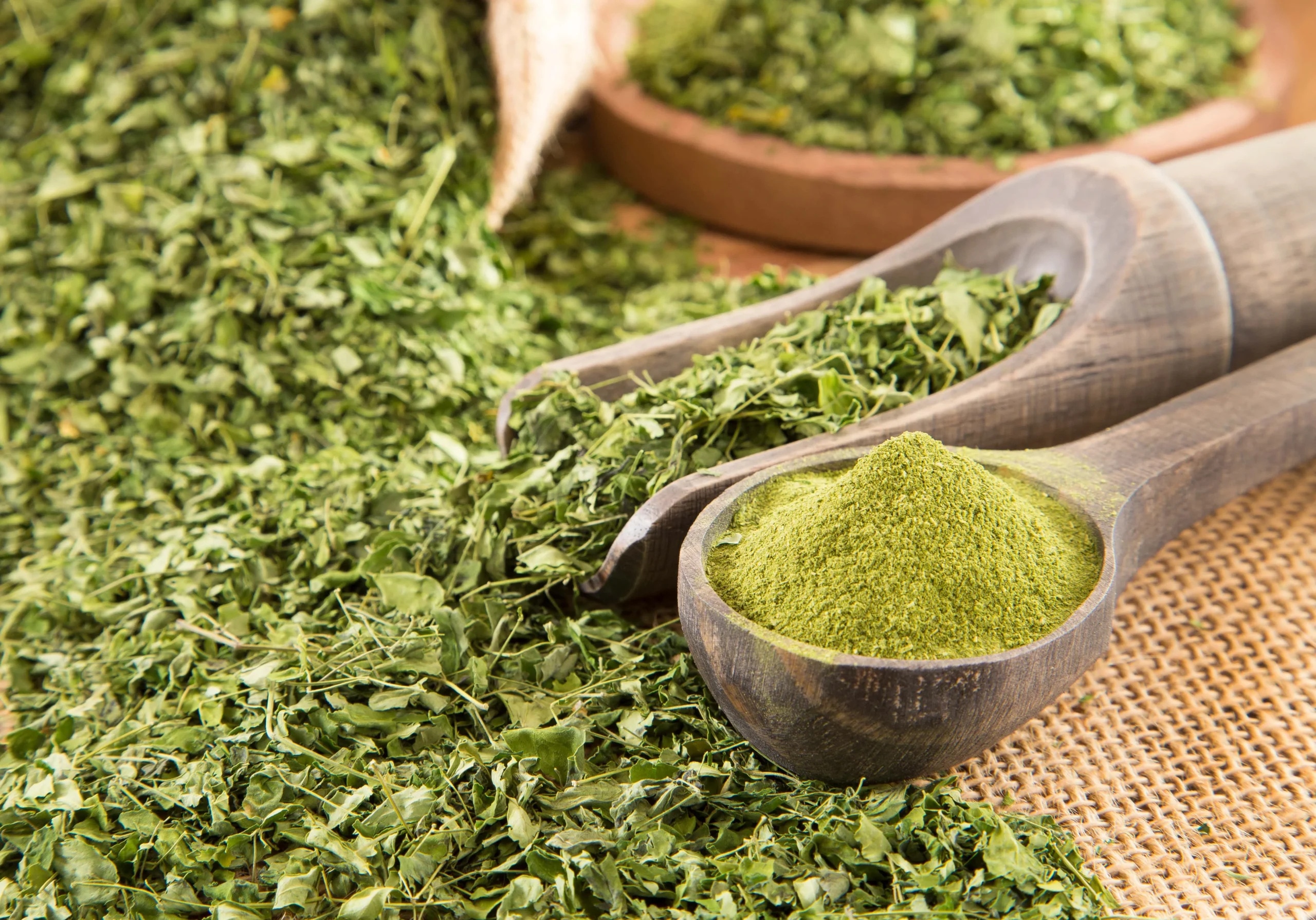Moringa Powder Recipe 5 Minute Drumstick Leaves Powder For Hair Growth ...