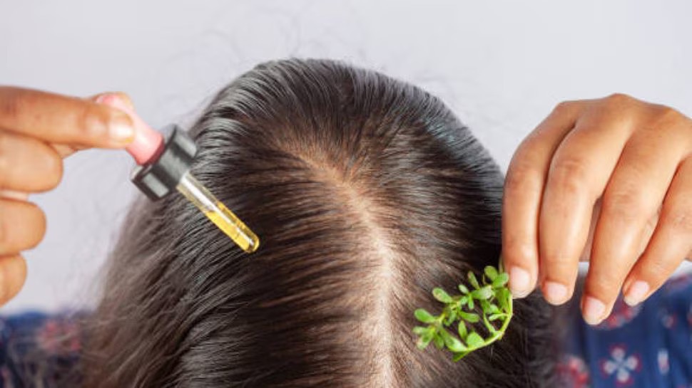 white hair solution mustard oil with hibiscus can control white hair ...