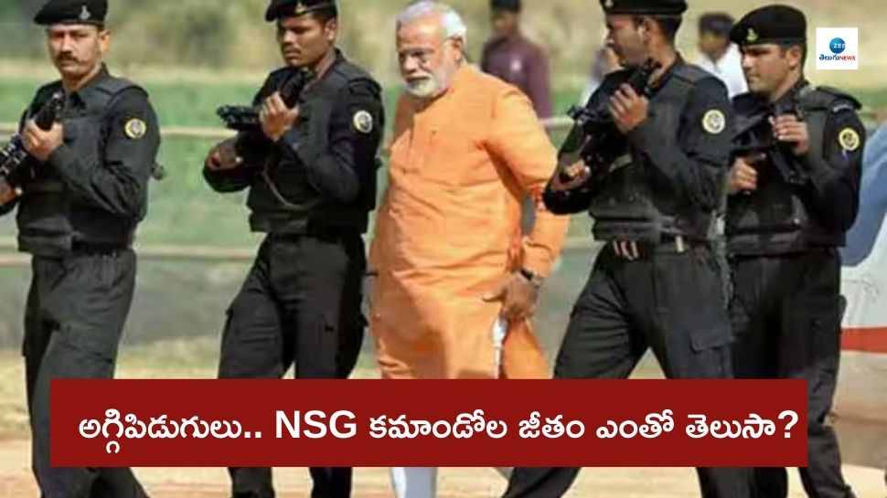 NSG Commandos Salary Details those are removed by central from the security of 9 leaders ...