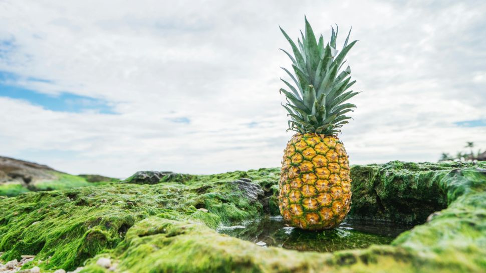Pineapple Health A Natural Shield Against Diseases and Weight Gain ...