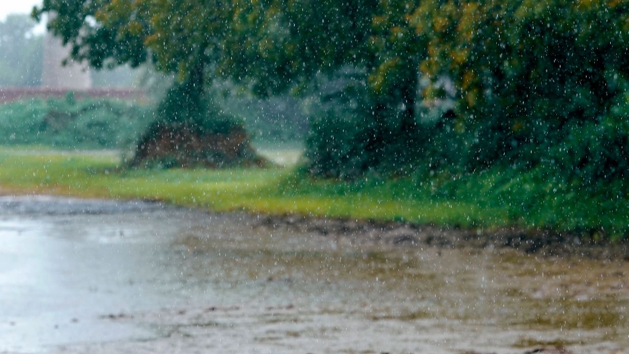 Telangana Rain Alert Meteorological Department Predicts Heavy Showers ...
