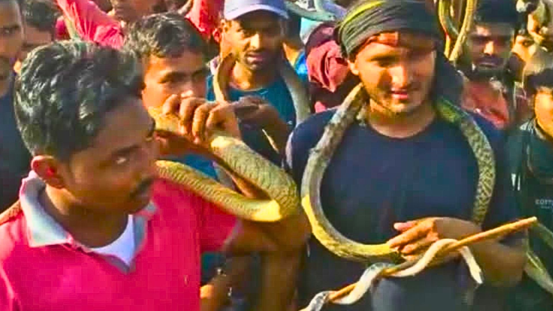 300-year-old Tradition People Walk Around With Snakes Around Their ...