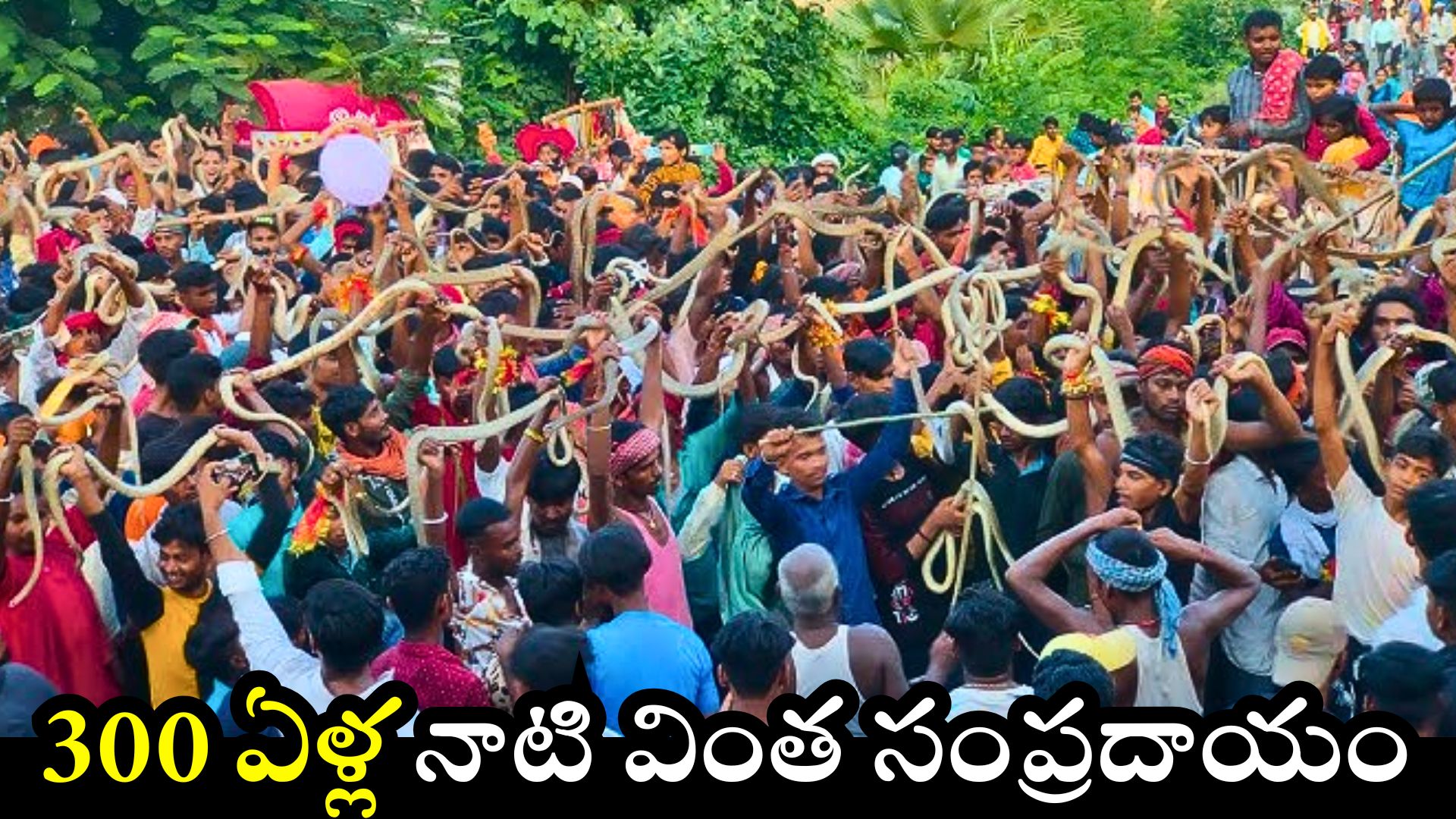 300-year-old Tradition People Walk Around With Snakes Around Their ...