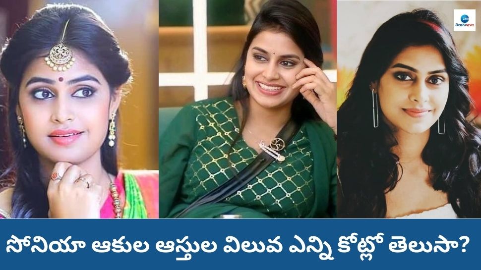 Sonia Akula Bigg Boss 8 Telugu Contestant Biography and Networth | Bigg ...