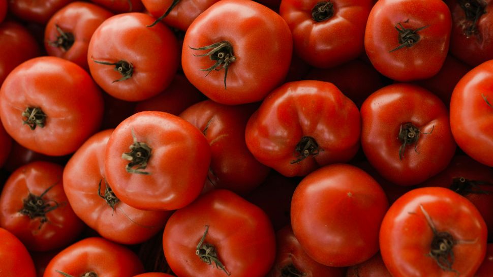 Know the price and quality of the world's most expensive tomato | Most ...