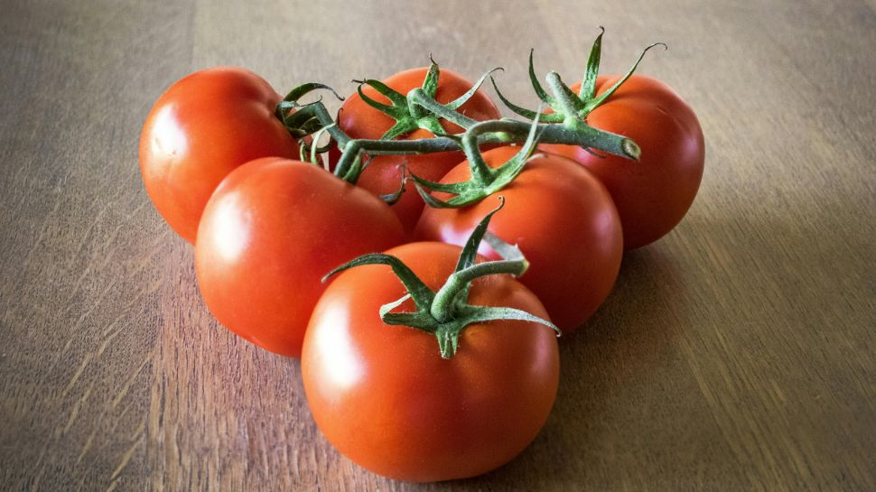 Know the price and quality of the world's most expensive tomato | Most ...