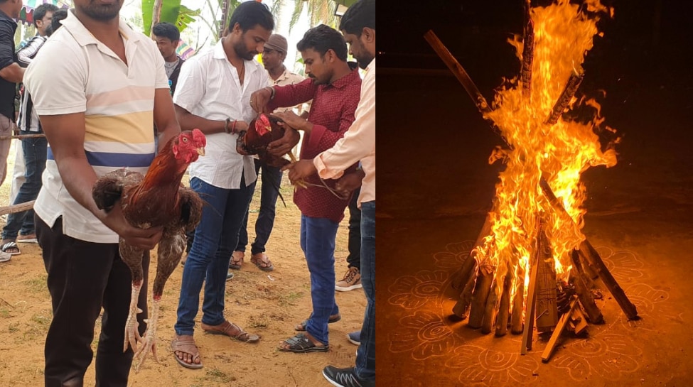 Sankranthi special Bhogi mantalu..kodi pandelu celebrations in andhra ...