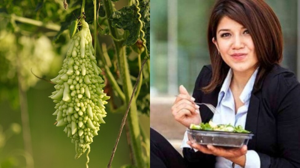 Bitter Gourd has many Health Benefits to human body full details here ...