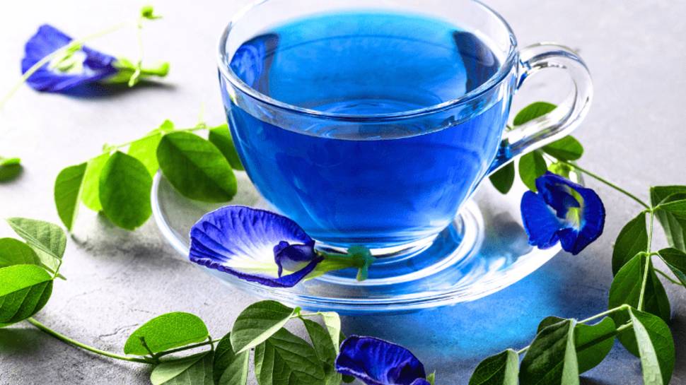 Do you know the medicinal properties of blue tea | Blue Tea: కళ్లకు ...