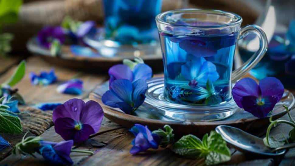 Do you know the medicinal properties of blue tea | Blue Tea: కళ్లకు ...