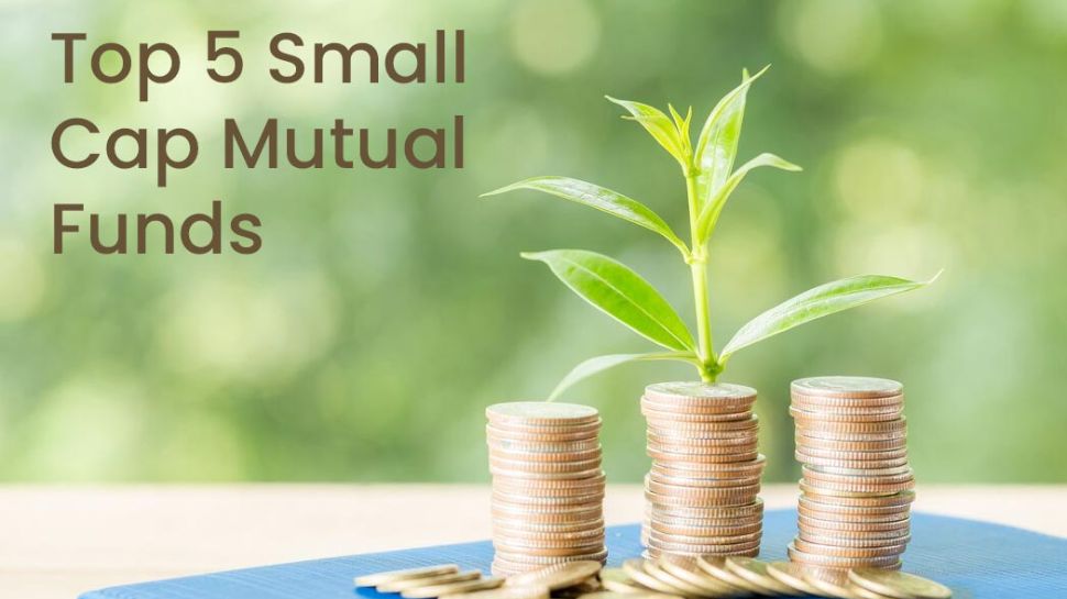 Top 5 Small Cap Funds with Highest Returns in 5 Years Mutual Funds ...