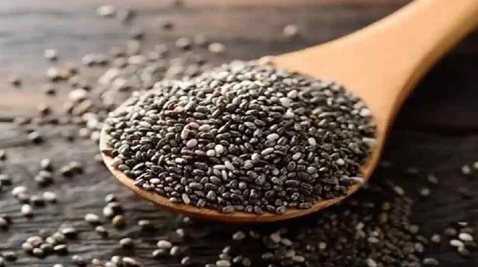 People With These Conditions Should Not Eat Chia Seeds Check Whether ...