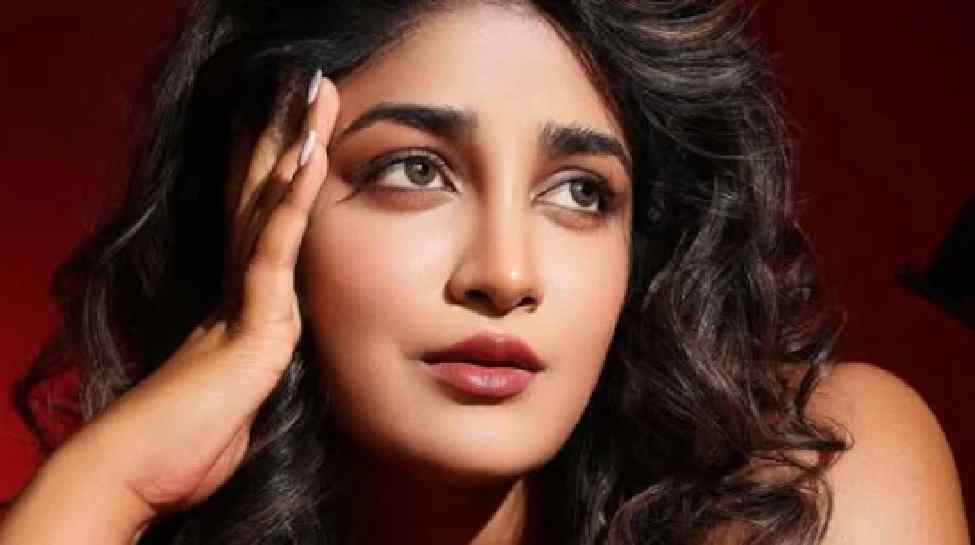 Dimple Hayathi Secret Marriage Actress Husband Details Video Goes Viral vn|Dimple Hayathi ...