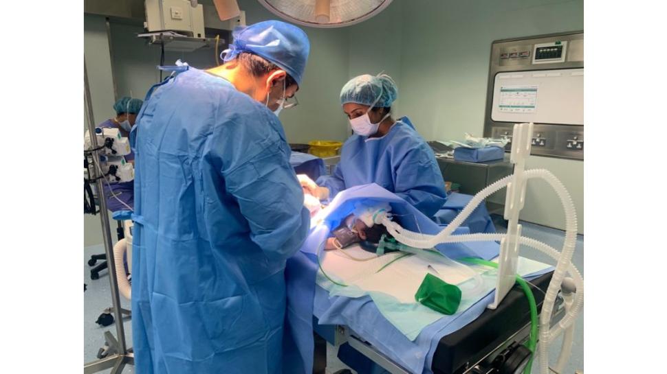 Pakistan doctor walked out of surgery midway for mating with female ...