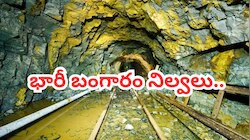 Jonnagiri gold project News in Telugu, Latest Jonnagiri gold project ...