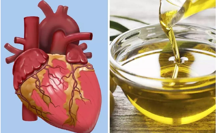 Best and Healthy Cooking Oils to make your heart healthy and strong ...
