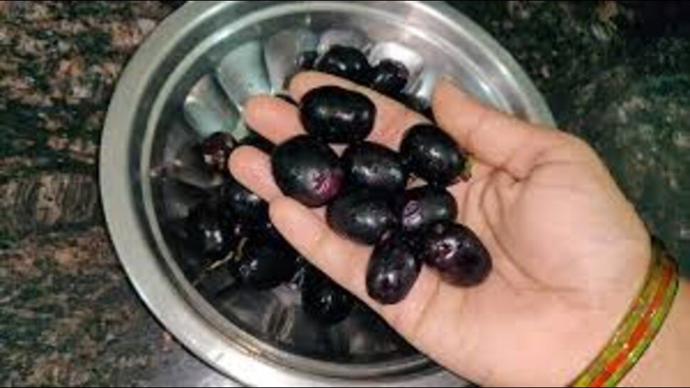 Jamun fruit benefits and some side effects eating too much in monsoon ...