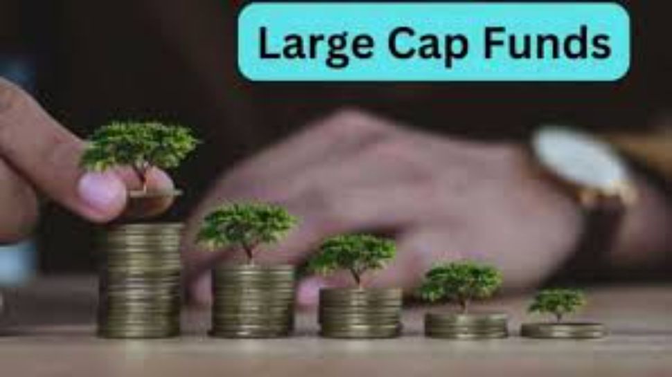 Top 6 Large Cap Funds top large cap mutual funds give highest returns 3 ...