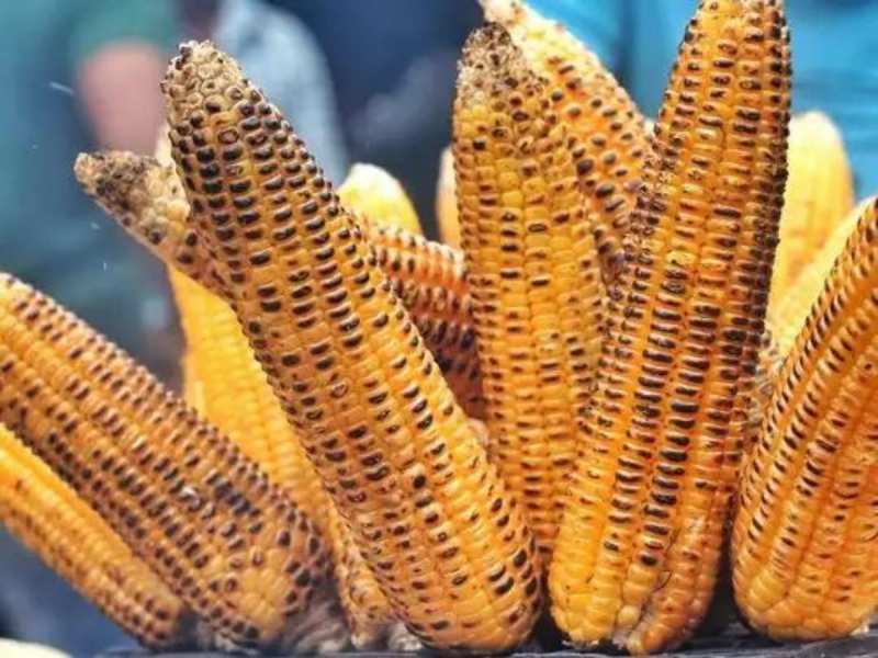 Maize and its 7 Amazing Health Benefits know why should you eat maize ...