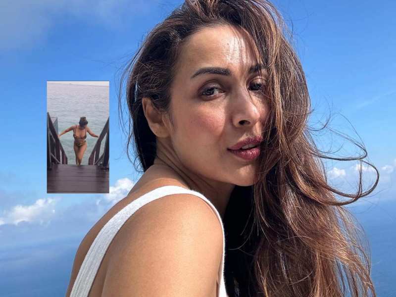 Bollywood actress and model malaika arora sizzling and hot pics videos ...