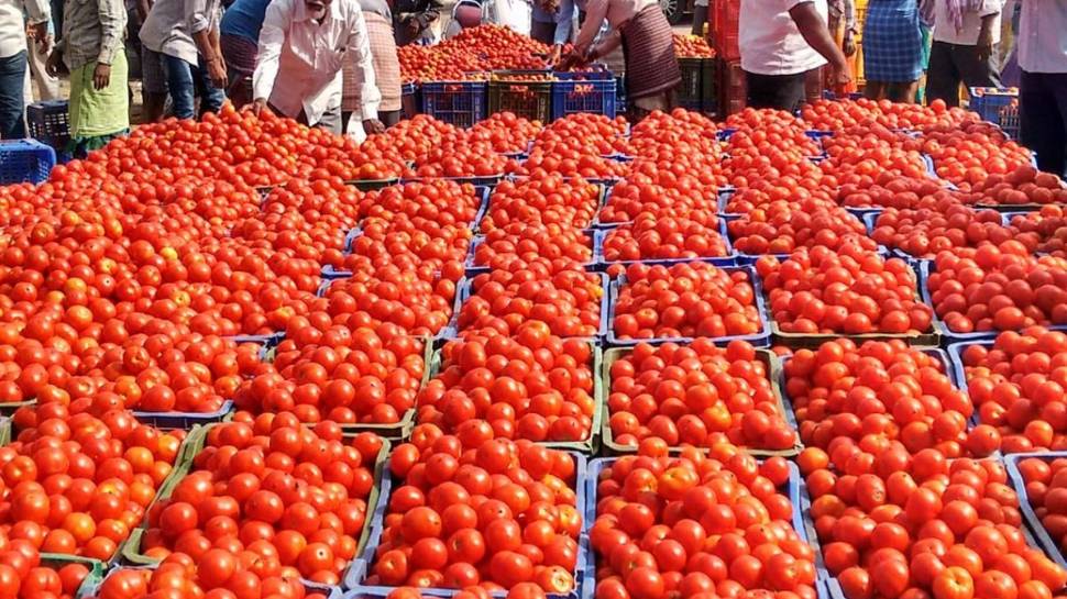 AP farmers throw tomatoes on roads as prices crash to Rs 4 per kg ...