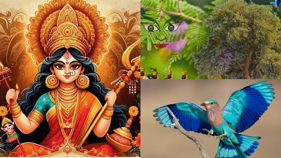 Dussehra Navratri 2024 auspicious importance of seeing pala pitta and ...