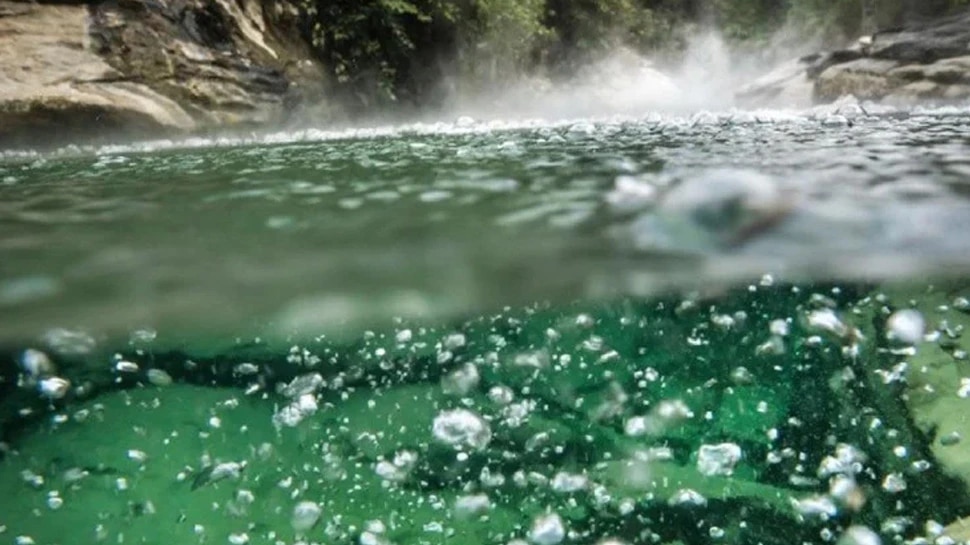 Have you ever seen the boiling river of amazon forest, here are the ...
